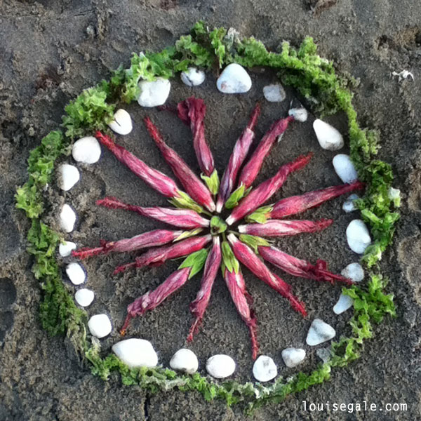 Nature Mandalas | Louise Gale Mixed Media Botanical Mandala Color Artist
