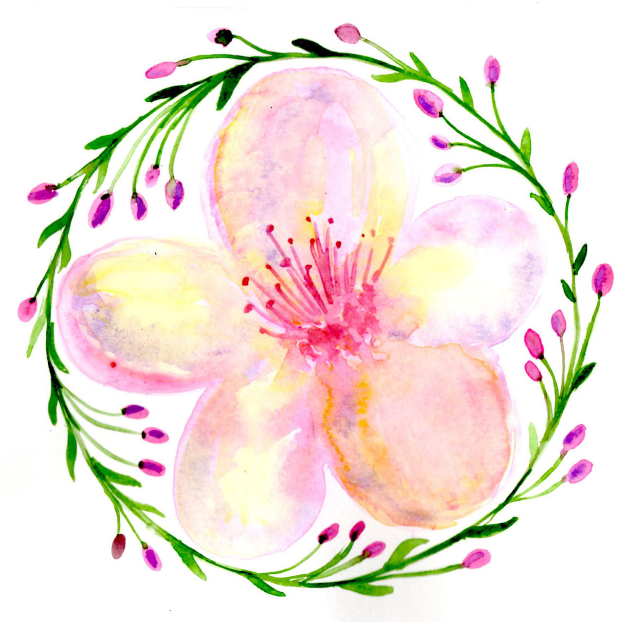 Botanical Mandalas | Louise Gale Mixed Media Botanical Mandala Color Artist