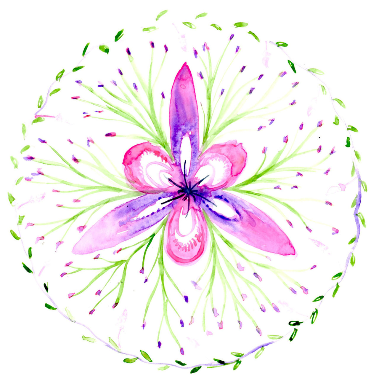 Botanical Mandalas | Louise Gale Mixed Media Botanical Mandala Color Artist