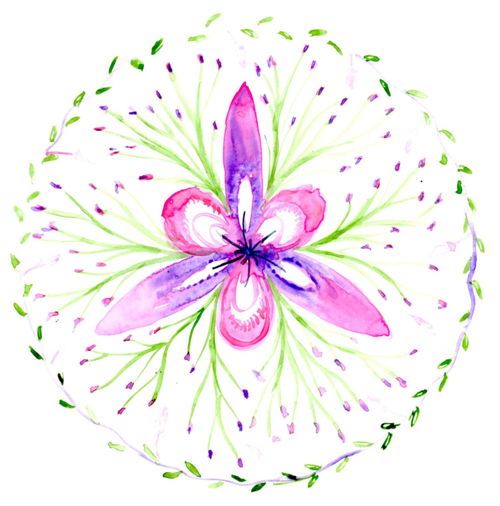 Botanical Mandalas | Louise Gale Mixed Media Botanical Mandala Color Artist