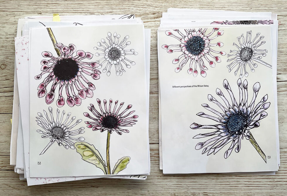 A Peek inside my new Botanical Drawing Book and Creative Happenings in ...