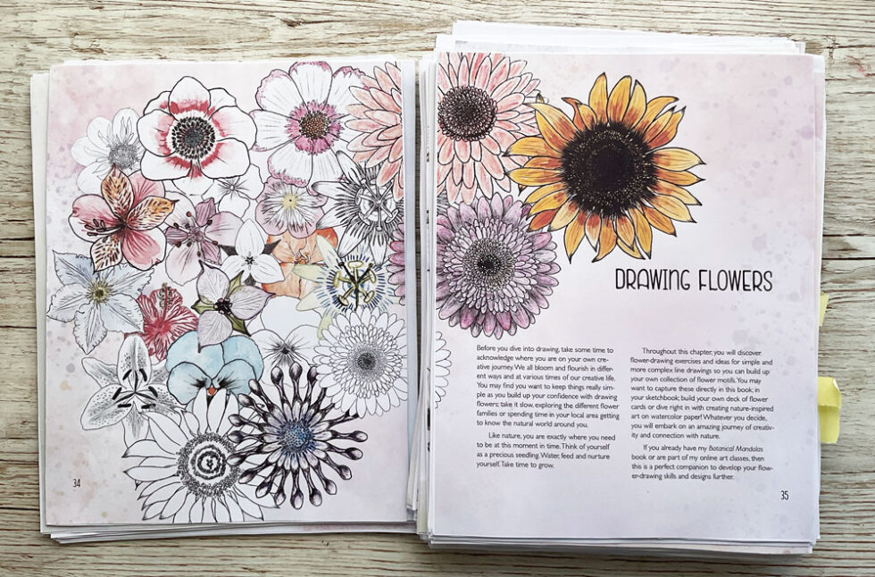 A Peek inside my new Botanical Drawing Book and Creative Happenings in ...