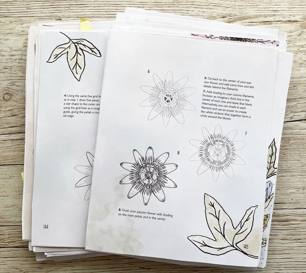 A Peek inside my new Botanical Drawing Book and Creative Happenings in ...