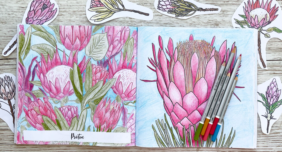 Coloring Club: Protea Bloom: Watch my video and join me to color ...