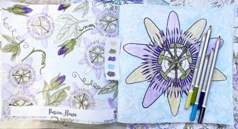 Coloring Club: Passion Flower Bloom Design: Watch my video and join me ...